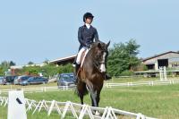 Cheval Annonce - Petites annonces équestres - Cavalier - Chevaux ...