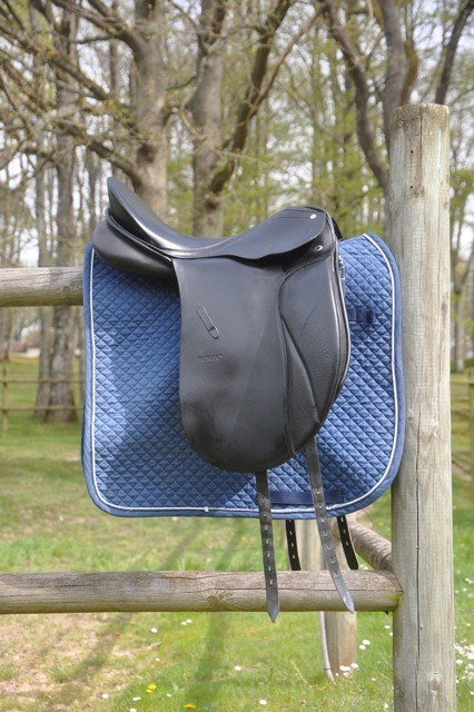 Cheval Annonce - Petites annonces équestres - Cavalier - Chevaux ...