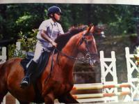 Cheval Annonce - Petites annonces équestres - Cavalier - Chevaux ...