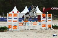 Cheval Annonce - Petites annonces équestres - Cavalier - Chevaux ...