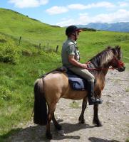 Chevaux isabelle à vendre | ChevalAnnonce.com