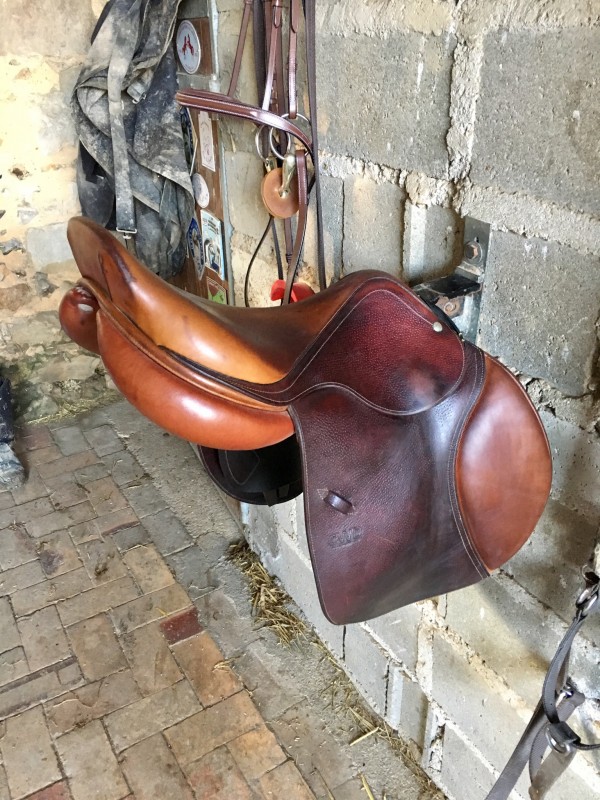 Cheval Annonce - Petites annonces équestres - Cavalier - Chevaux ...