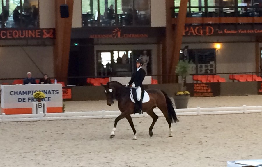 Cheval Annonce - Petites annonces équestres - Cavalier - Chevaux ...