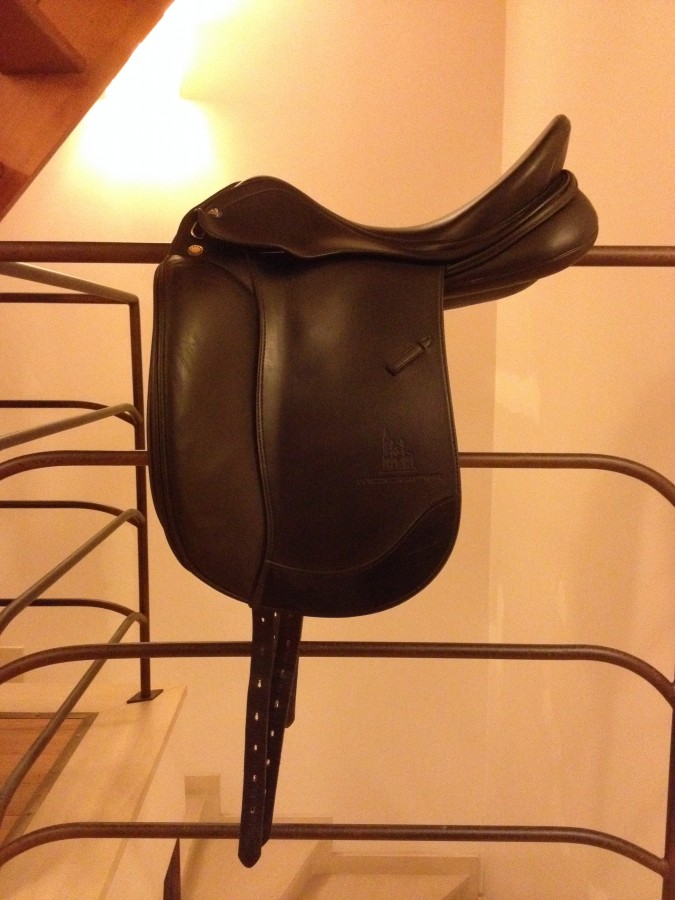 Cheval Annonce - Petites annonces équestres - Cavalier - Chevaux ...