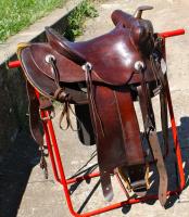 Cheval Annonce - Petites annonces équestres - Cavalier - Chevaux ...