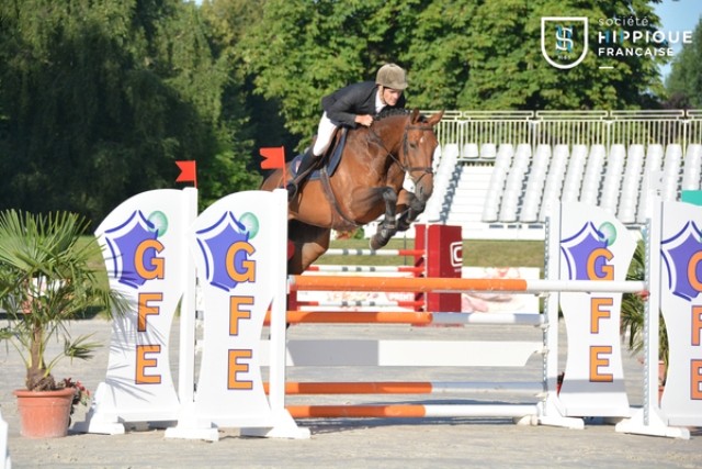 Petites annonces cheval, annonces équestres | ChevalAnnonce.com