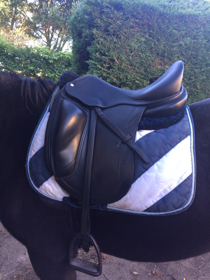 Cheval Annonce - Petites annonces équestres - Cavalier - Chevaux ...