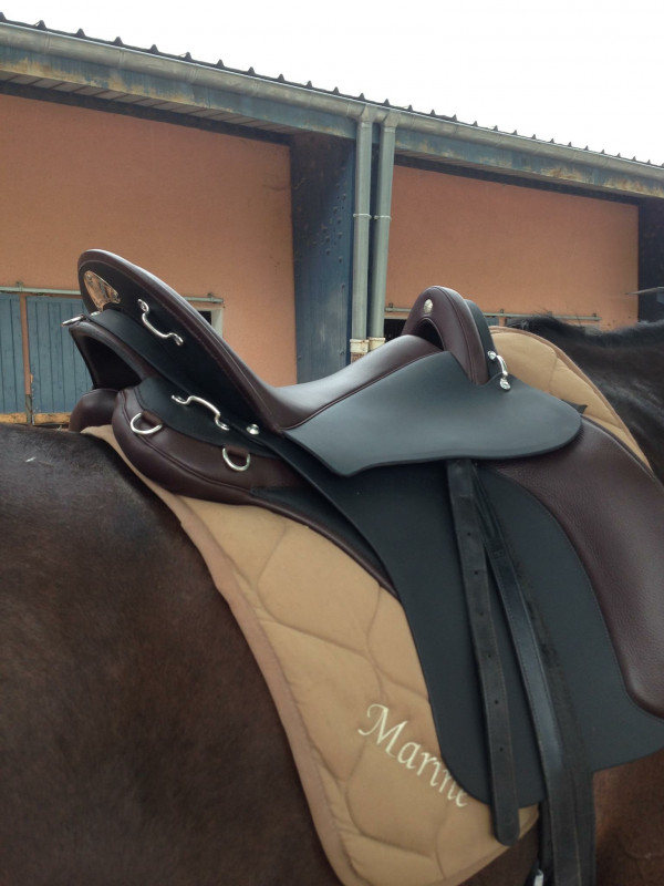 Cheval Annonce - Petites annonces équestres - Cavalier - Chevaux ...