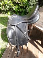 Cheval Annonce - Petites annonces équestres - Cavalier - Chevaux ...