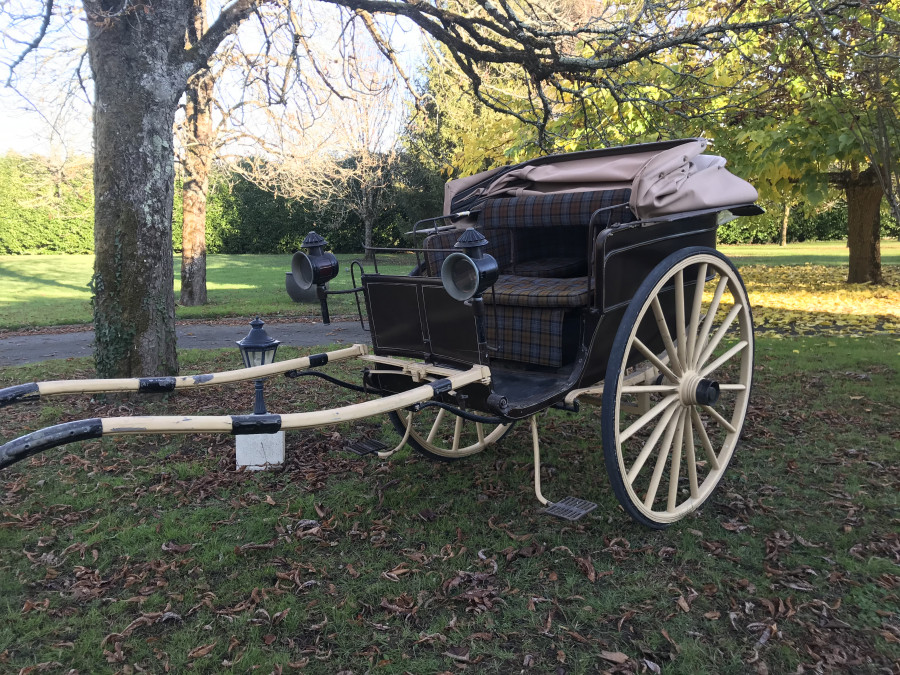 CALECHE | ChevalAnnonce.com