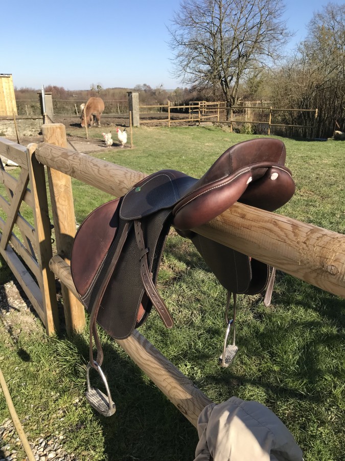 Cheval Annonce - Petites annonces équestres - Cavalier - Chevaux ...