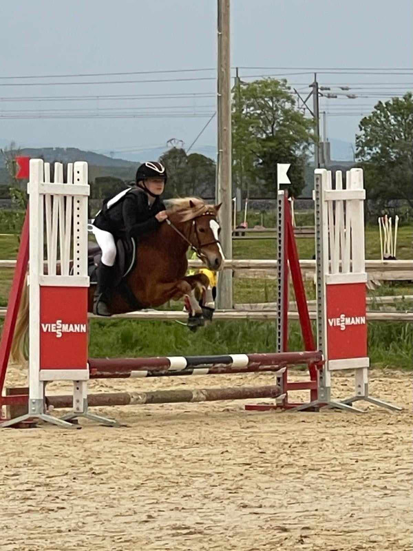 Loue poney B pour P2/P3 ou série club cso cce derb | ChevalAnnonce.com