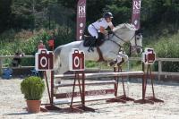 Cheval Annonce - Petites annonces équestres - Cavalier - Chevaux ...