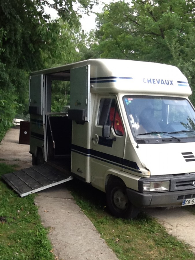 Cheval Annonce - Petites annonces équestres - Cavalier - Chevaux ...
