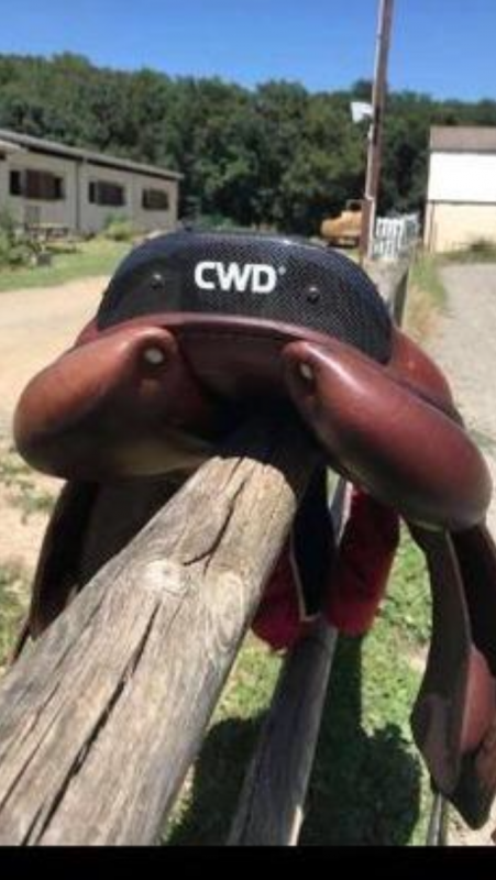 Cheval Annonce - Petites annonces équestres - Cavalier - Chevaux ...