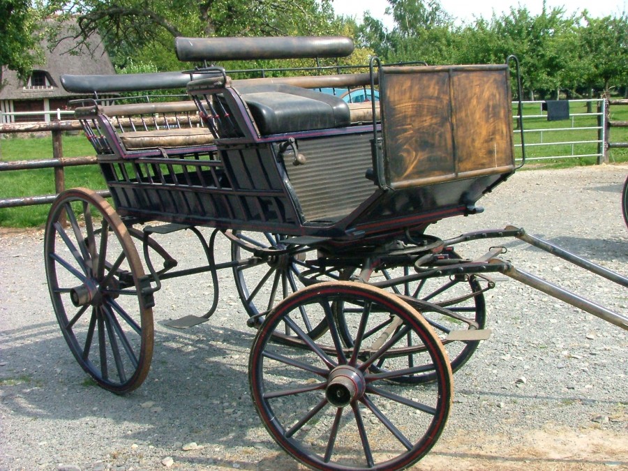 Caleche d'epoque | ChevalAnnonce.com