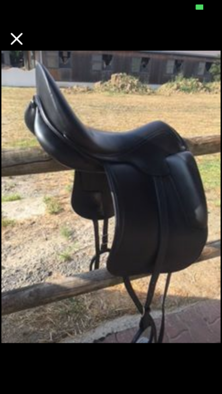 Cheval Annonce - Petites annonces équestres - Cavalier - Chevaux ...