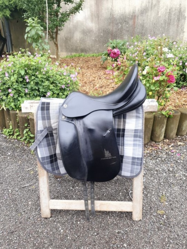 Cheval Annonce - Petites annonces équestres - Cavalier - Chevaux ...