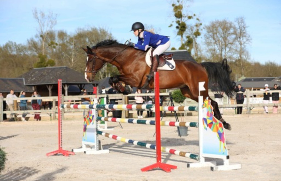 Cheval Annonce - Petites annonces équestres - Cavalier - Chevaux ...