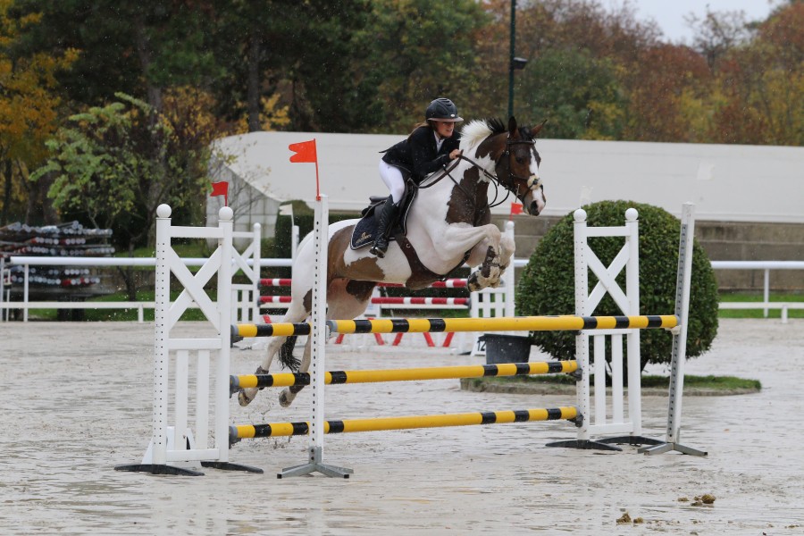 Magnifique jument de CSO | ChevalAnnonce.com