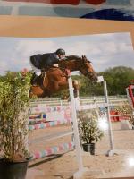 Cheval Annonce - Petites annonces équestres - Cavalier - Chevaux ...