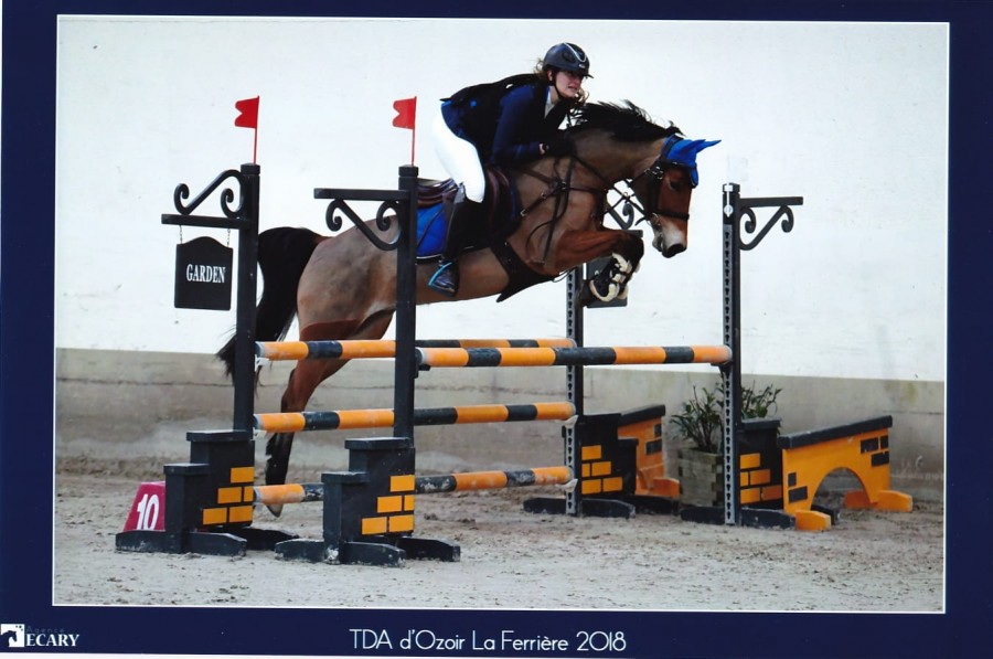 Cheval Annonce - Petites annonces équestres - Cavalier - Chevaux ...