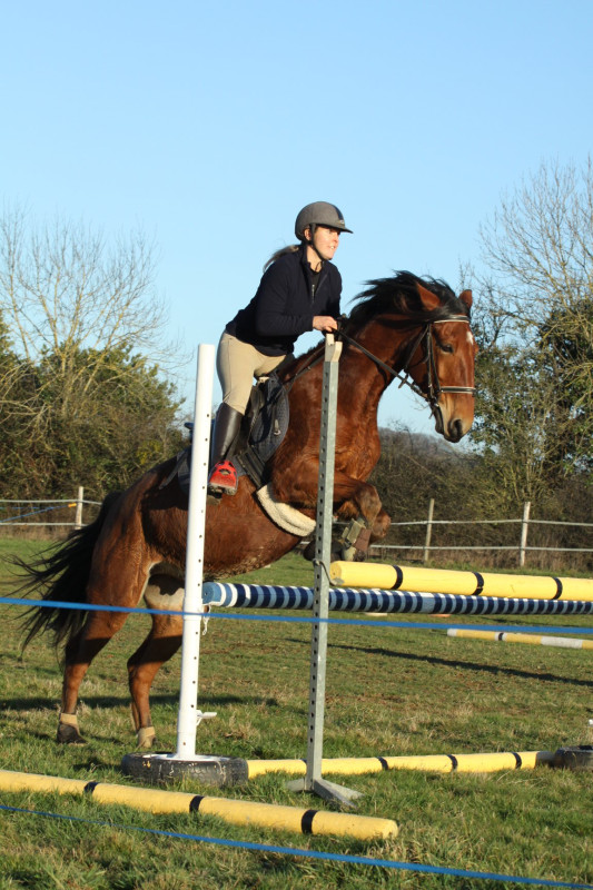 Noms pour chevaux mâle