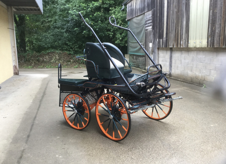 Calèche cheval à vendre | ChevalAnnonce.com
