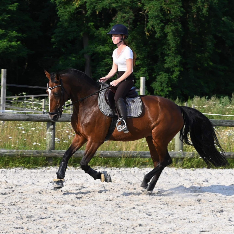 Cheval Annonce - Petites annonces équestres - Cavalier - Chevaux ...