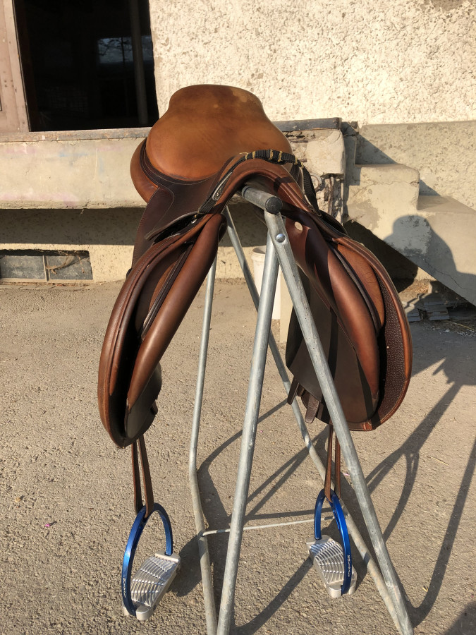 Selles CWD | ChevalAnnonce.com