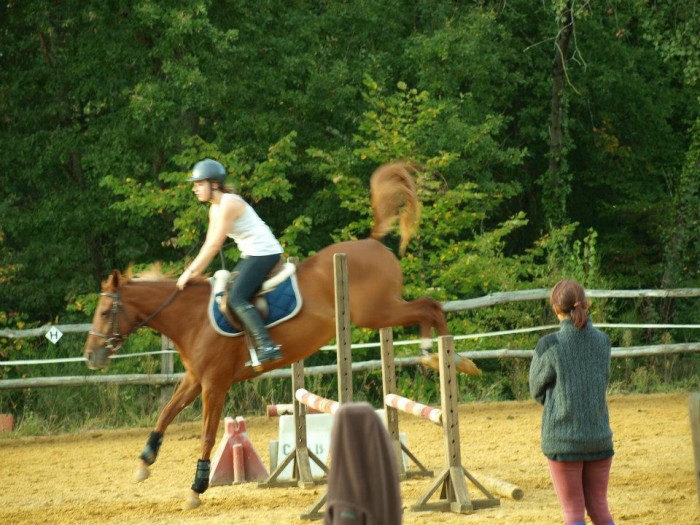 SUITE les poneys du Louvet - Album photo de latournerie | ChevalAnnonce.com