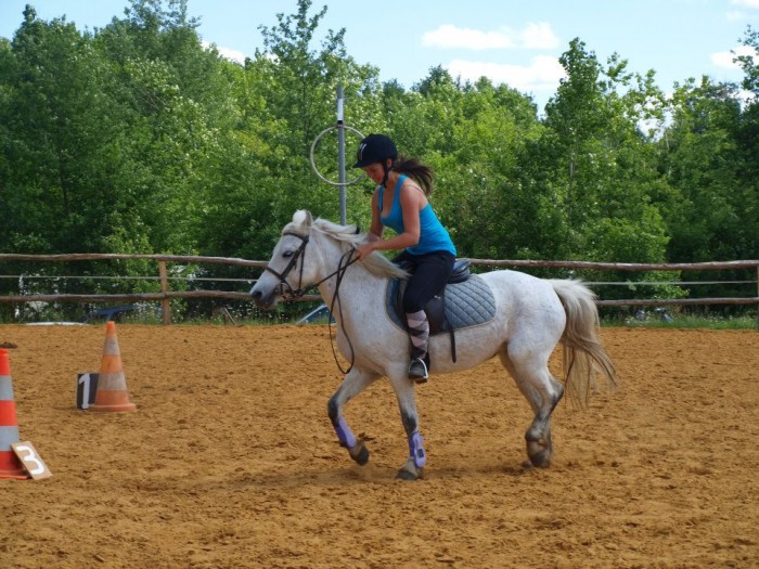 SUITE les poneys du Louvet - Album photo de latournerie | ChevalAnnonce.com
