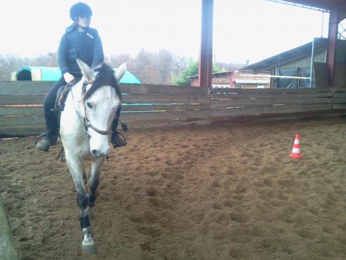 SUITE les poneys du Louvet - Album photo de latournerie | ChevalAnnonce.com