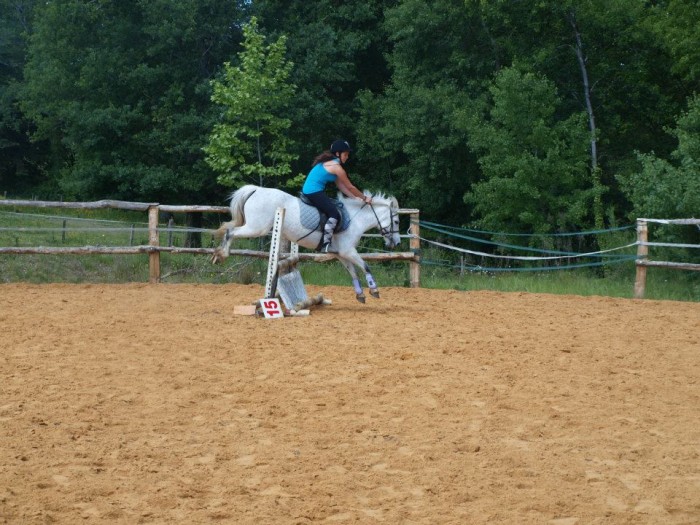 SUITE les poneys du Louvet - Album photo de latournerie | ChevalAnnonce.com