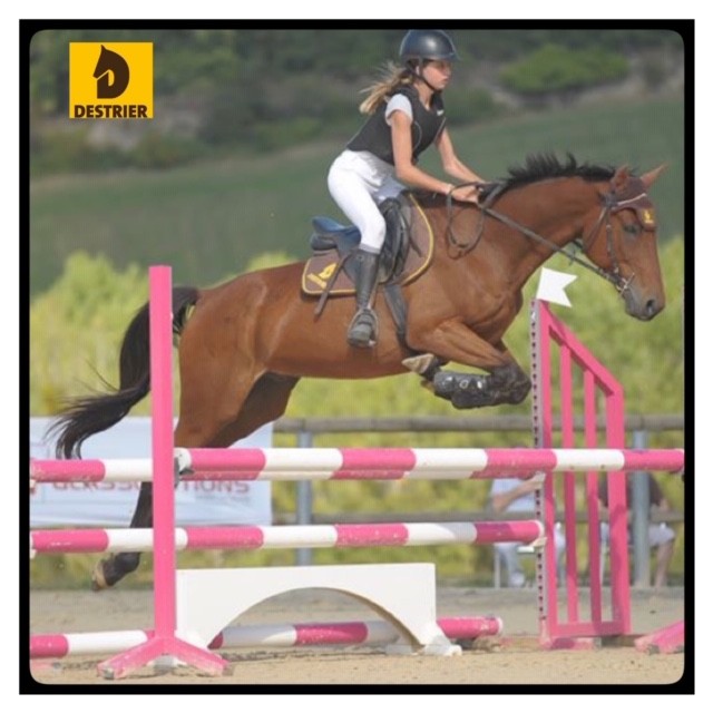 Destrier | ChevalAnnonce.com