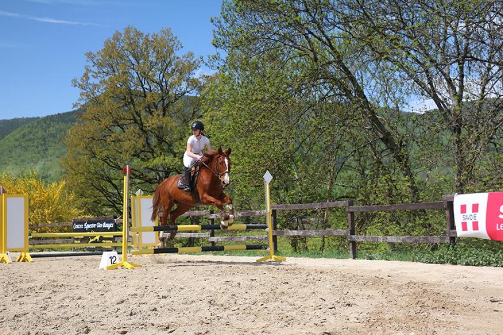 Soizic rose des vents - Cheval de race Selle français | ChevalAnnonce.com
