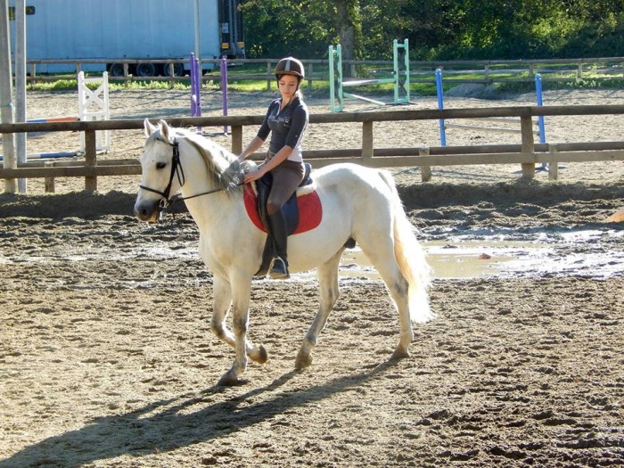 Les amis de Equit.pratique | ChevalAnnonce.com