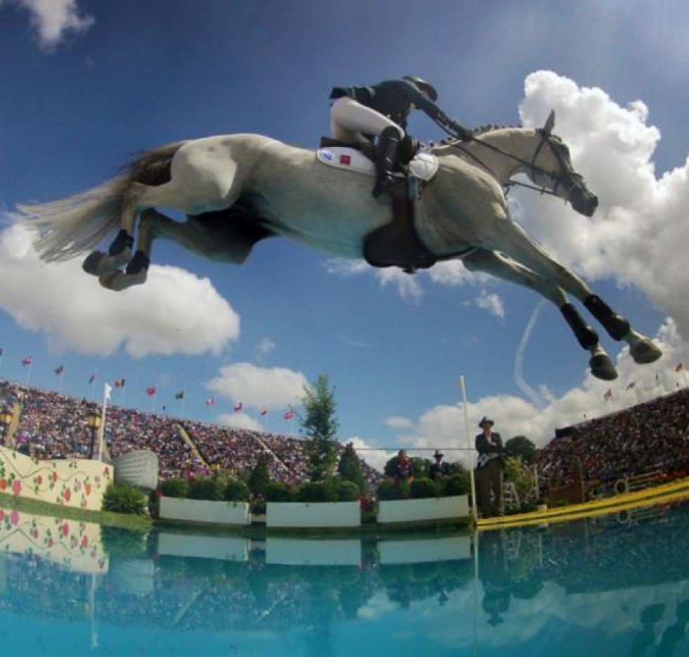 S_b.cso - . (.) FRANCE | ChevalAnnonce.com